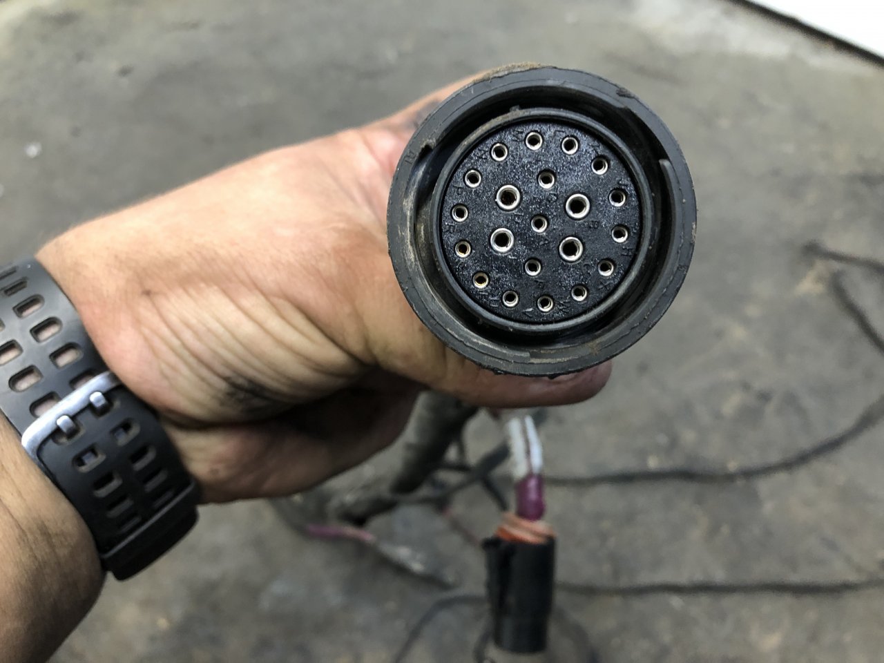 Peterbilt 389 Wiring Harness, Cab for Sale