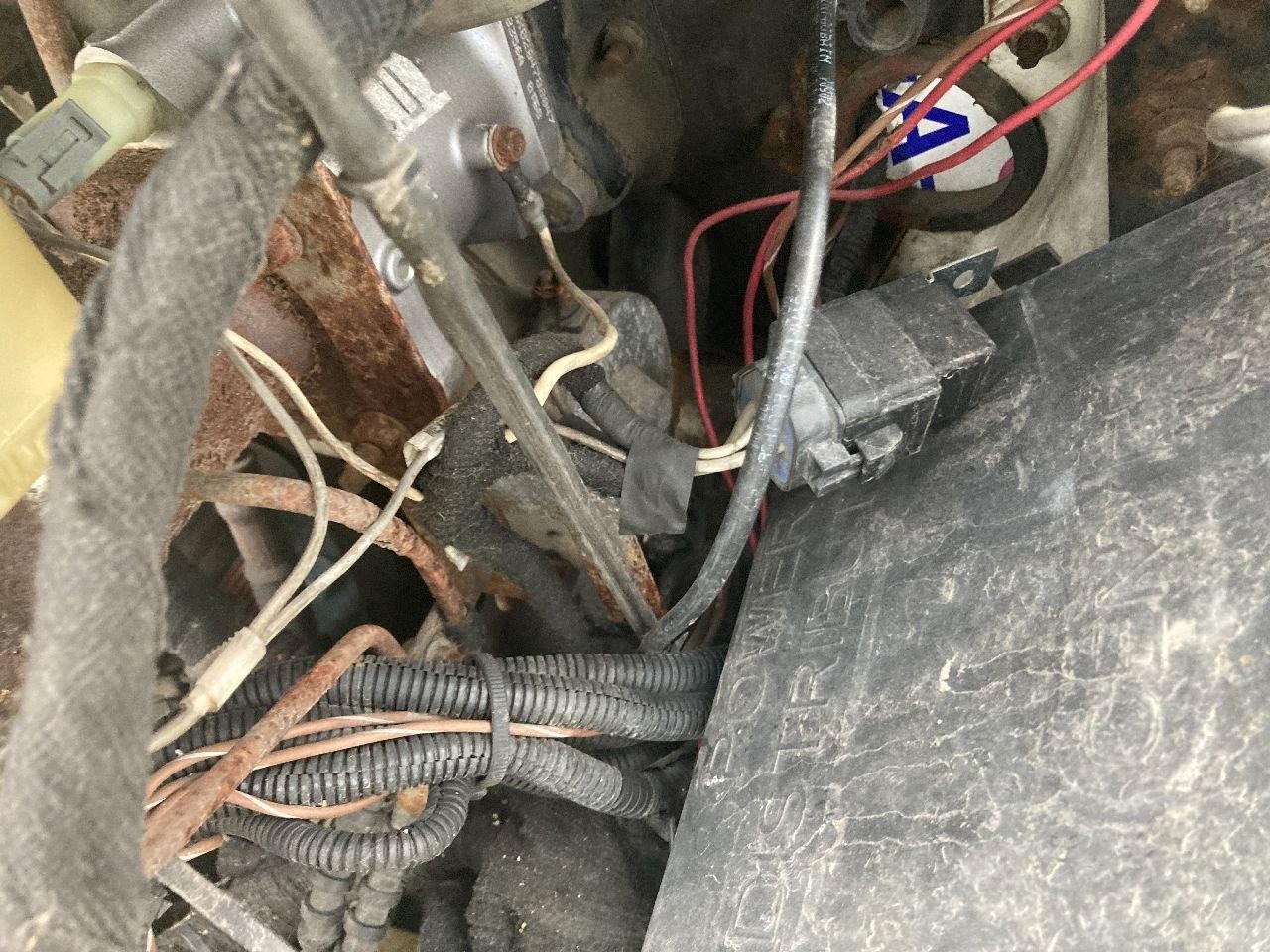 International VT365 Engine Wiring Harness for Sale