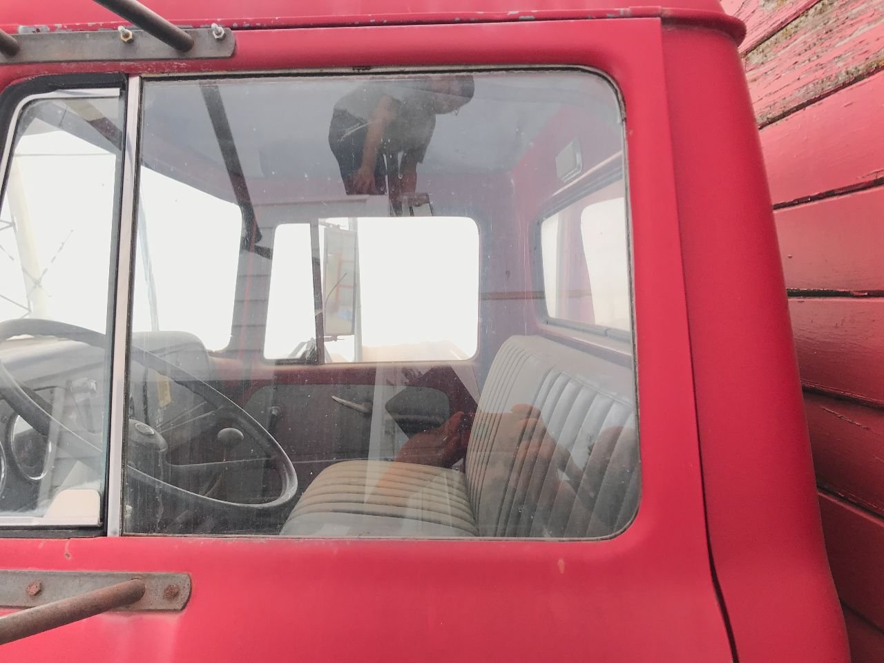 International 1800 LOADSTAR Door Glass for Sale