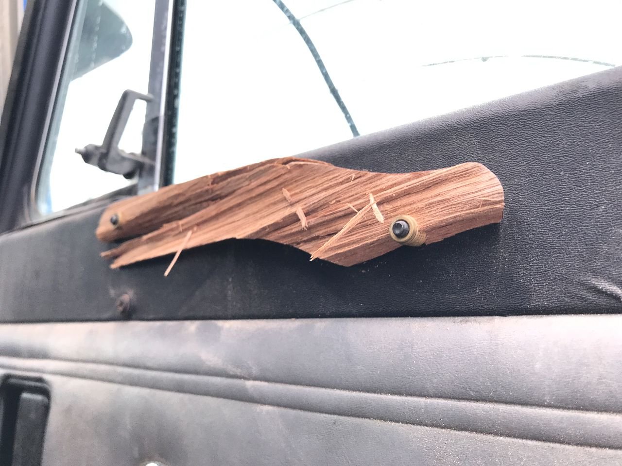 Peterbilt 378 Door, Interior Panel for Sale