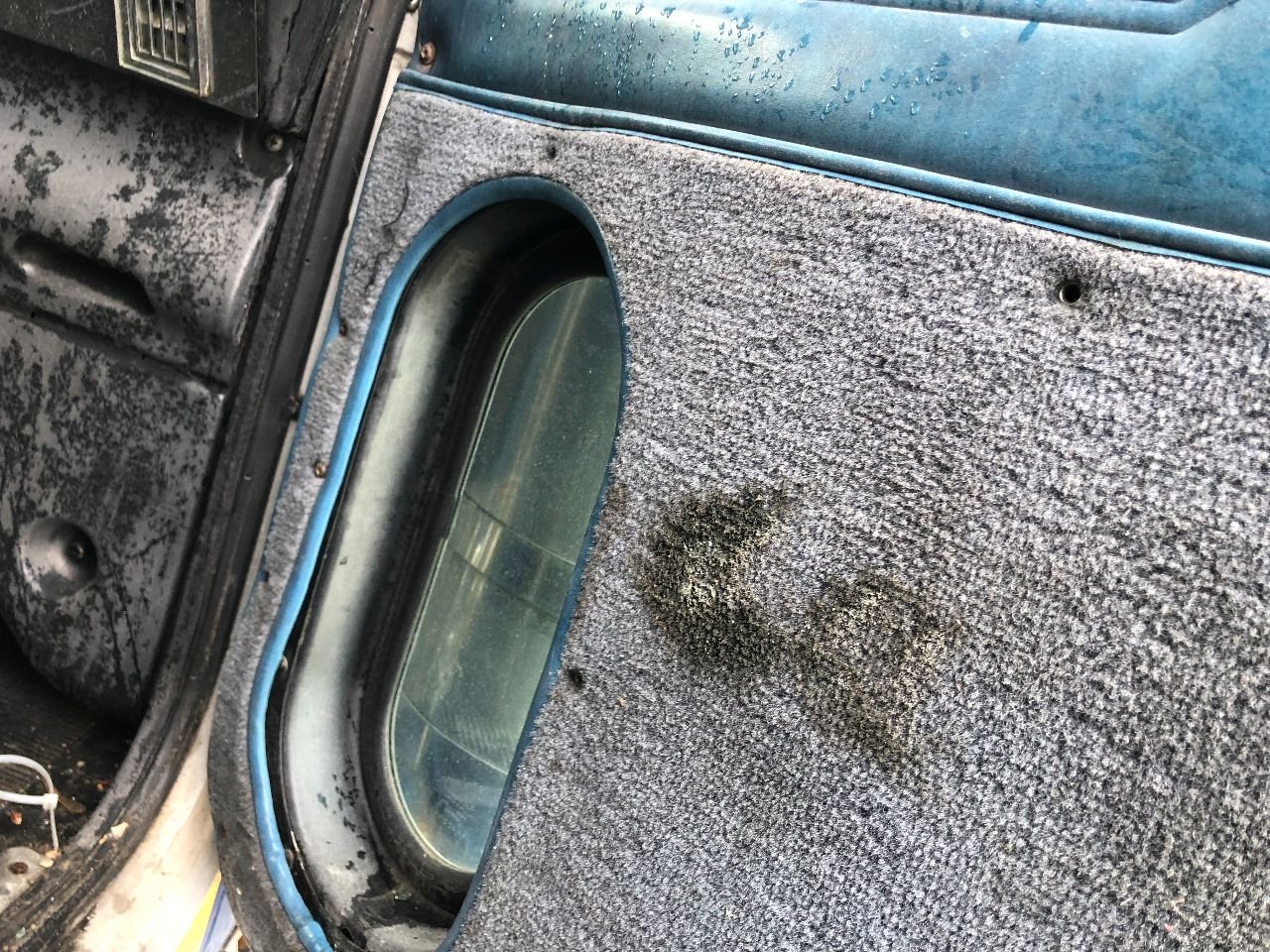 Peterbilt 378 Door, Interior Panel for Sale