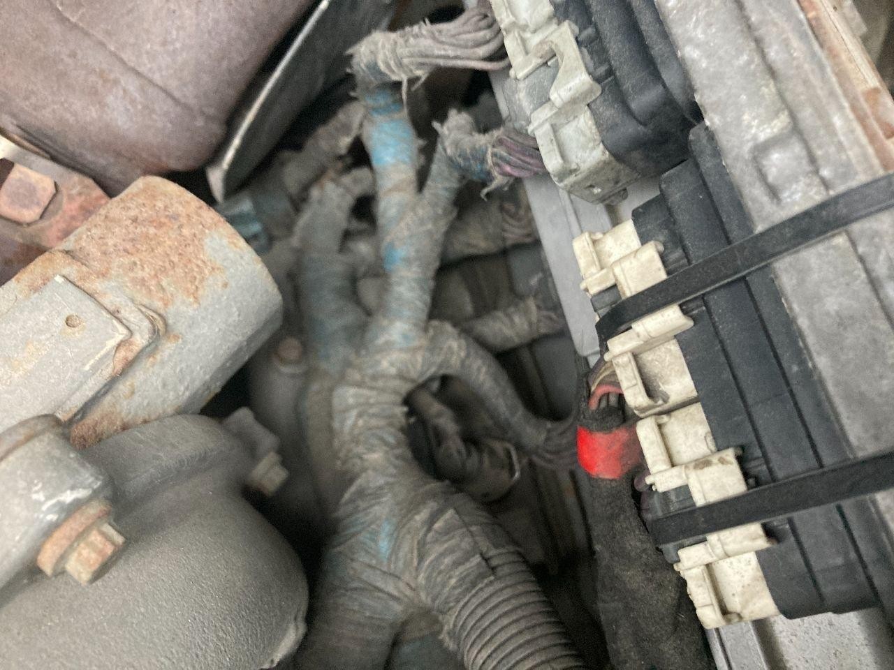 International VT365 Engine Wiring Harness for Sale