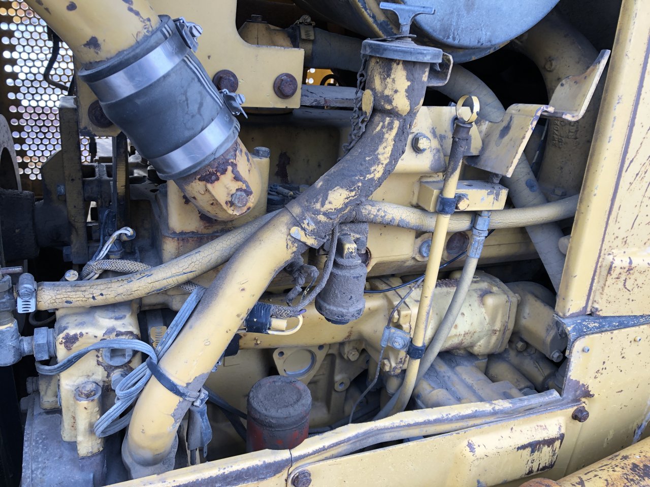 CAT 3204 Engine Assembly for Sale