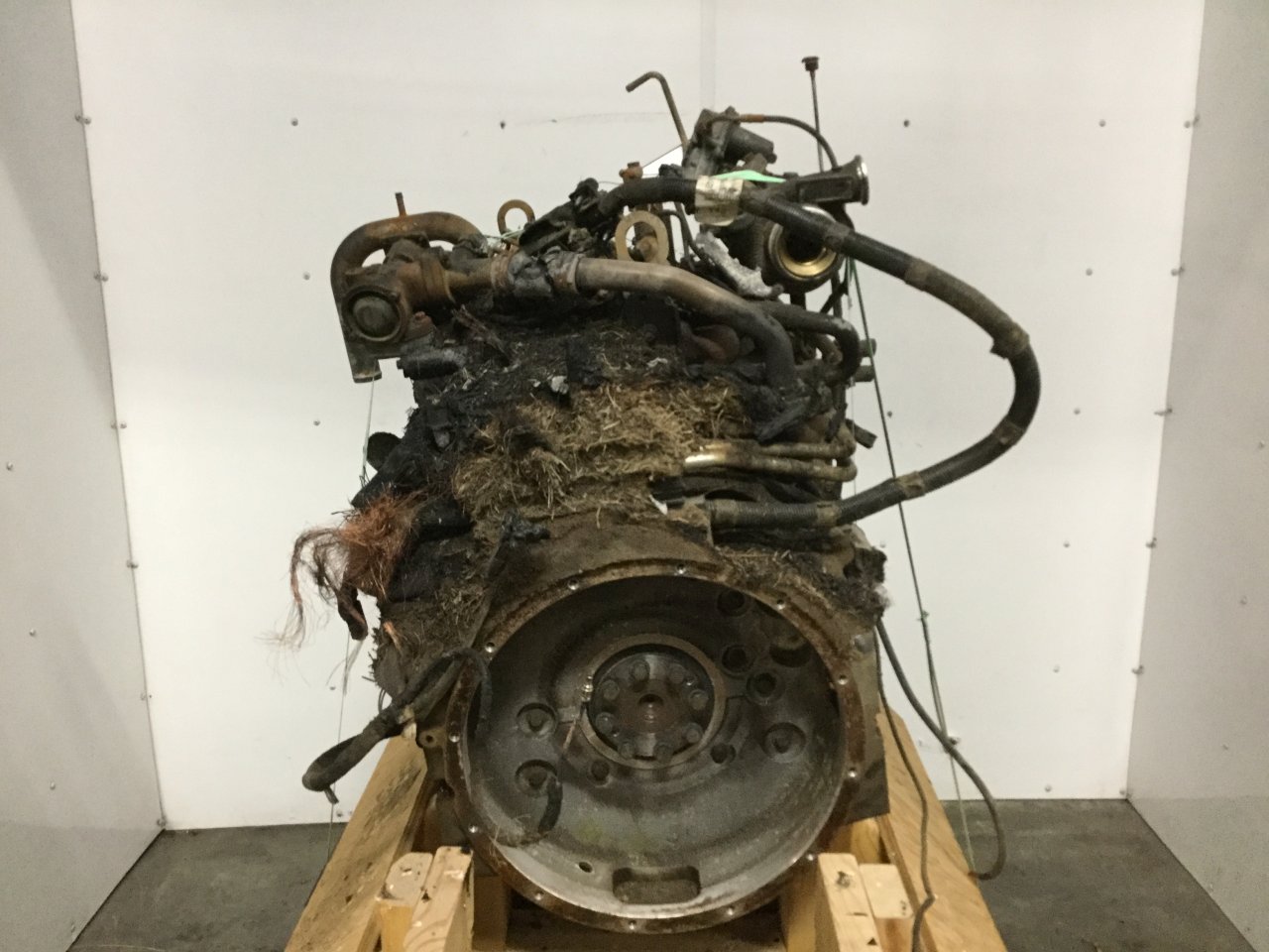Cummins QSF3.8 Engine Assembly for Sale