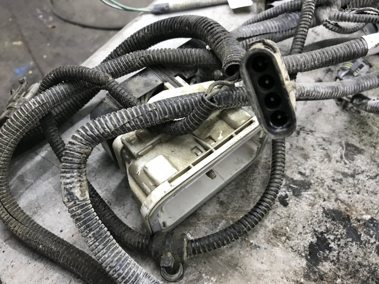 Cummins ISC Engine Wiring Harness for Sale