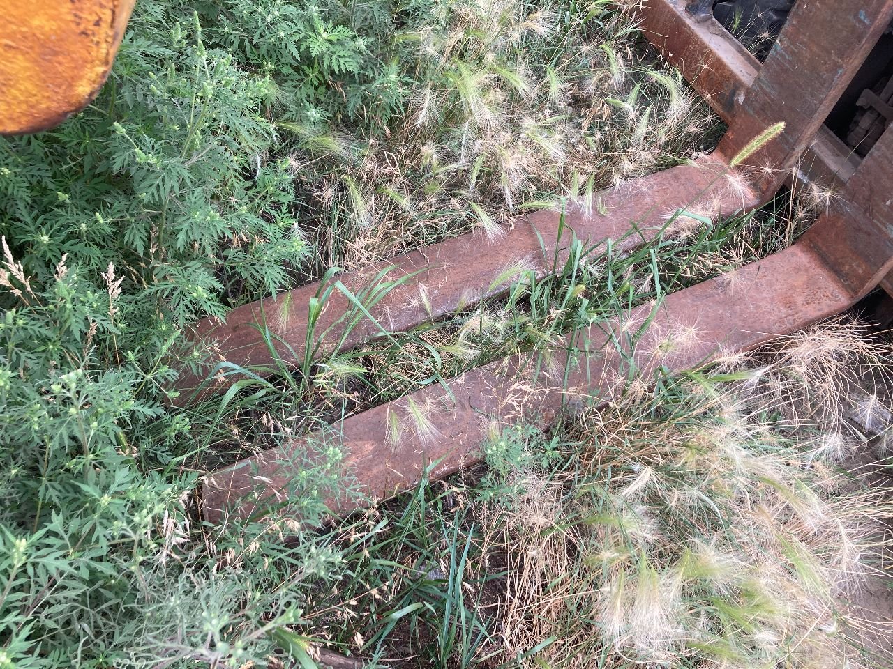 Yale GLP060VX Forklift, Forks for Sale