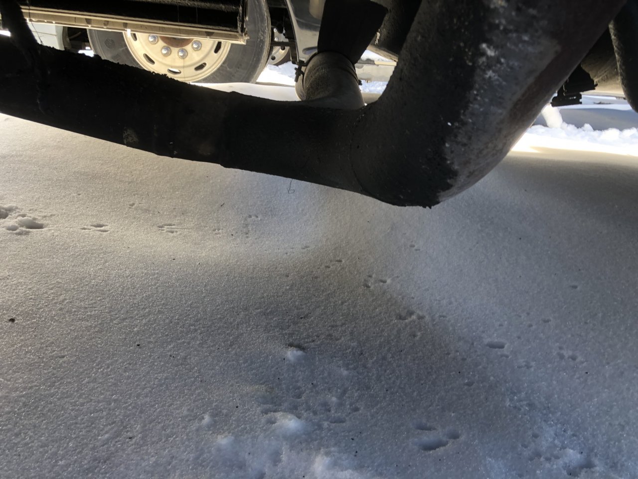 Peterbilt 200 LCF Exhaust Y Pipe for Sale