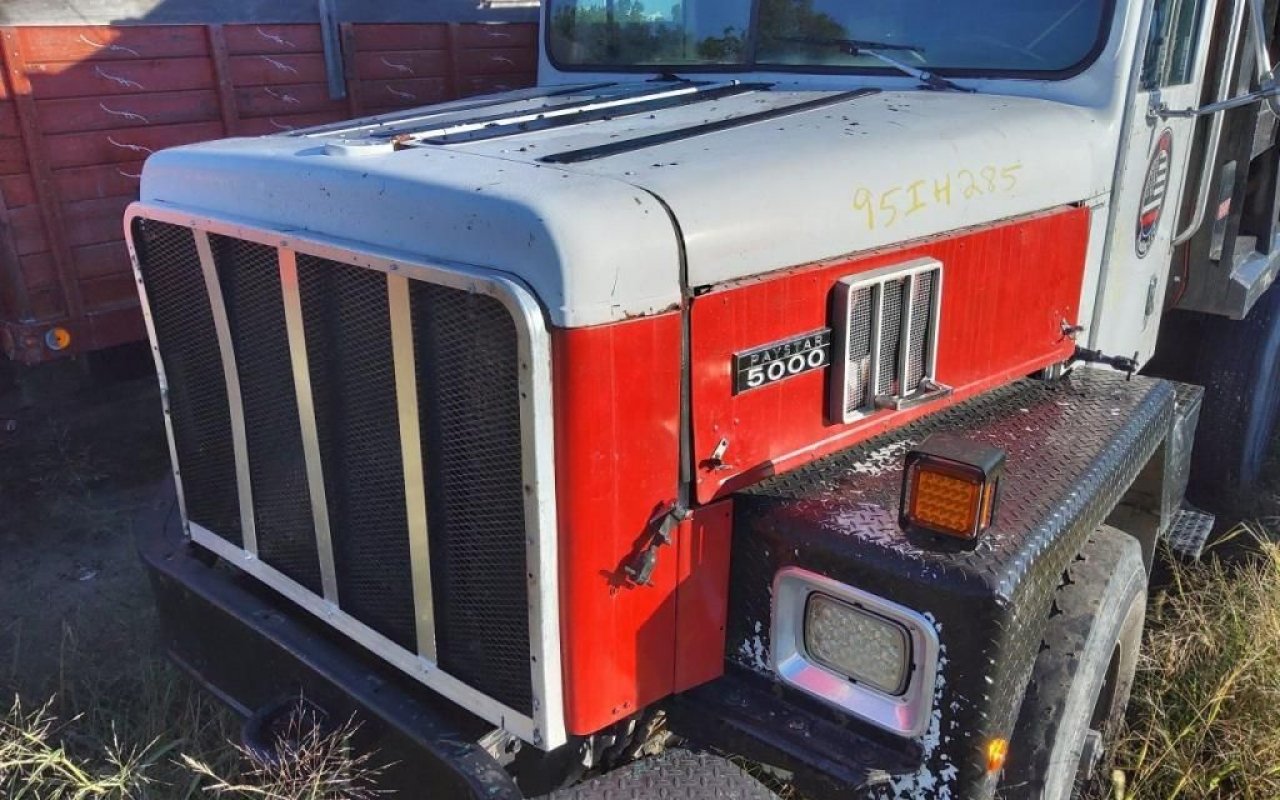 International 5000 (PAYSTAR) Grille for Sale