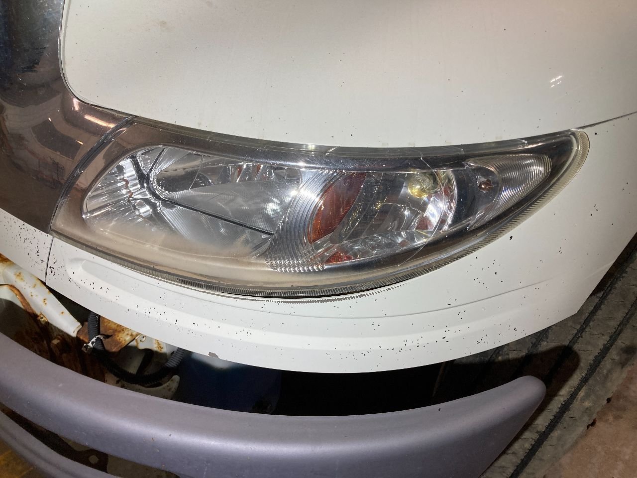 3765679C94 | International DURASTAR (4300) Headlamp for Sale