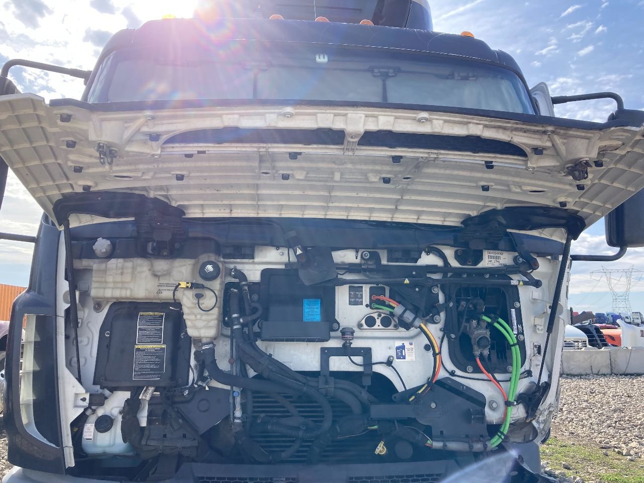 Peterbilt 220 COE Hood for Sale