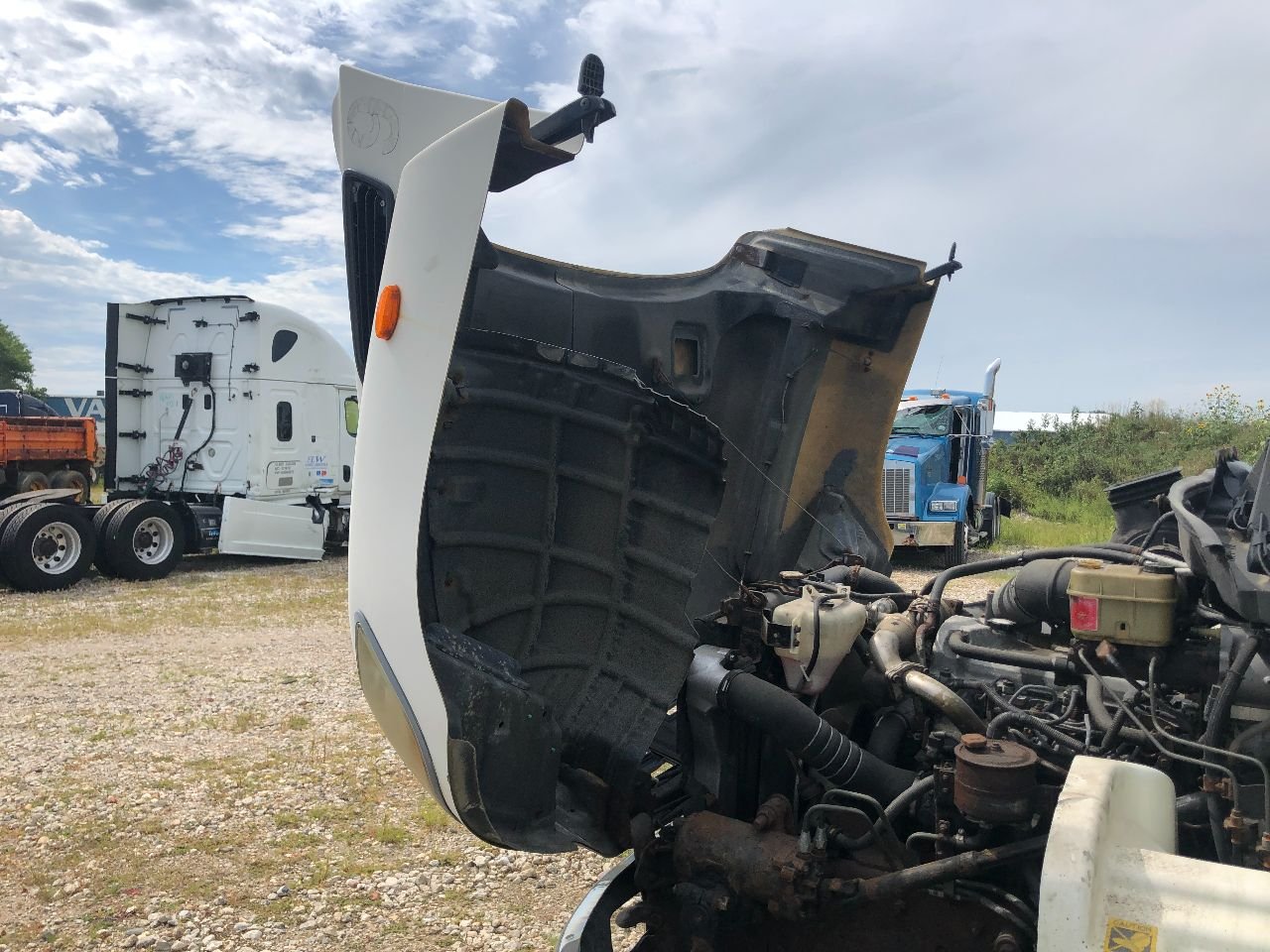 Hino 258 Hood for Sale