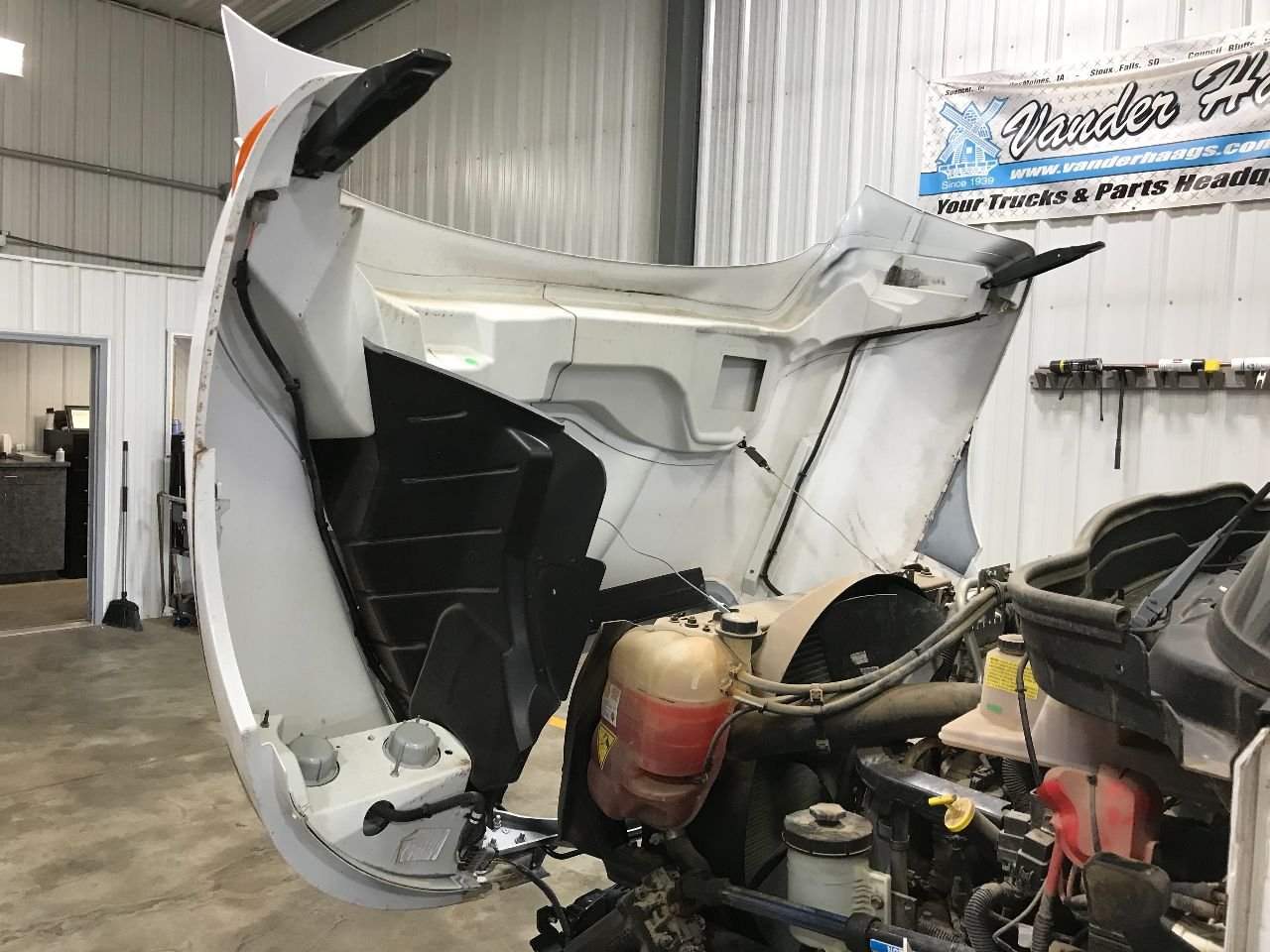 3822156C92 | International 3300 Hood for Sale