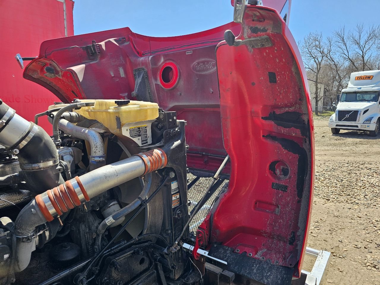 Peterbilt 567 Hood for Sale