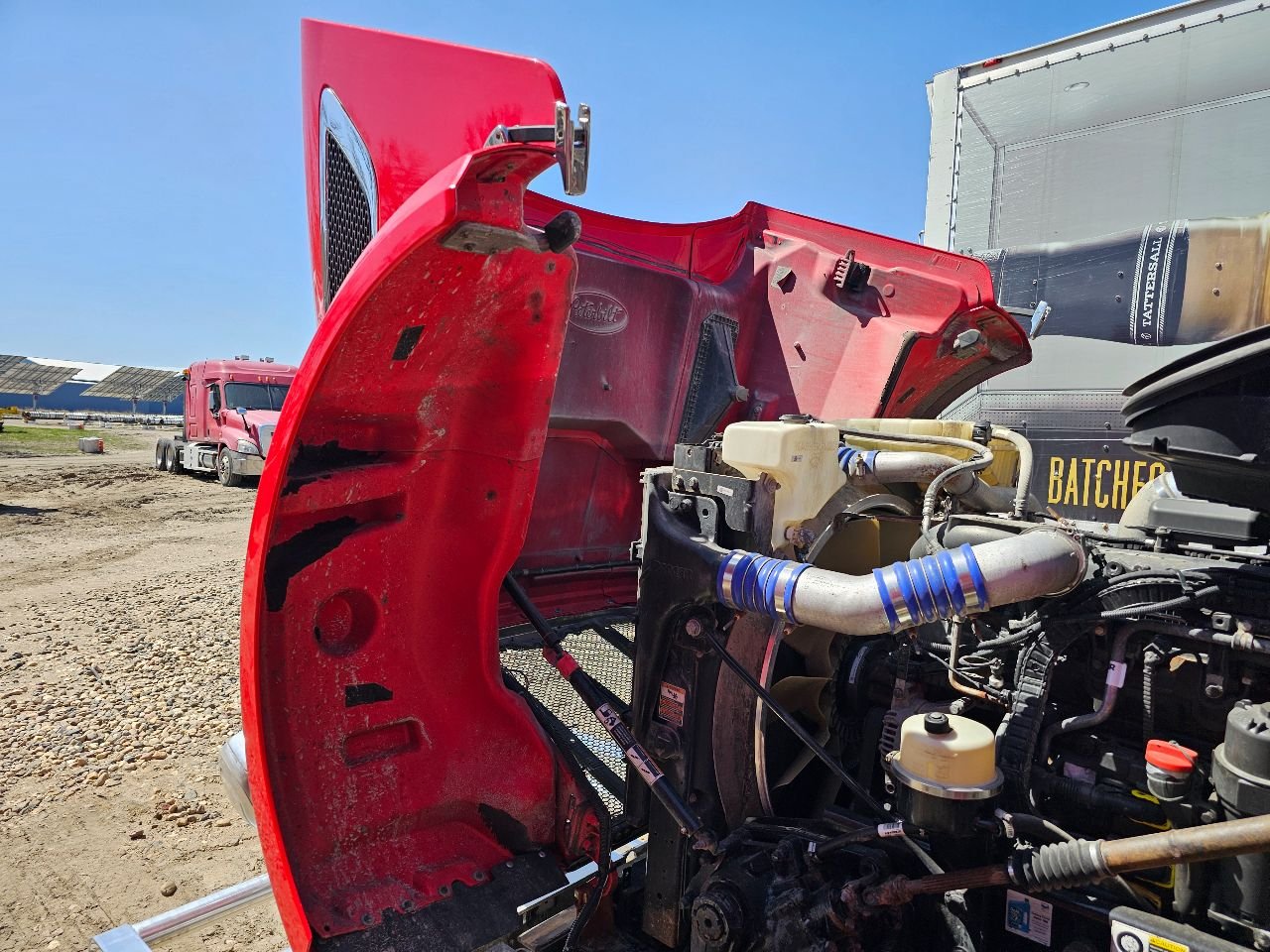 Peterbilt 567 Hood for Sale
