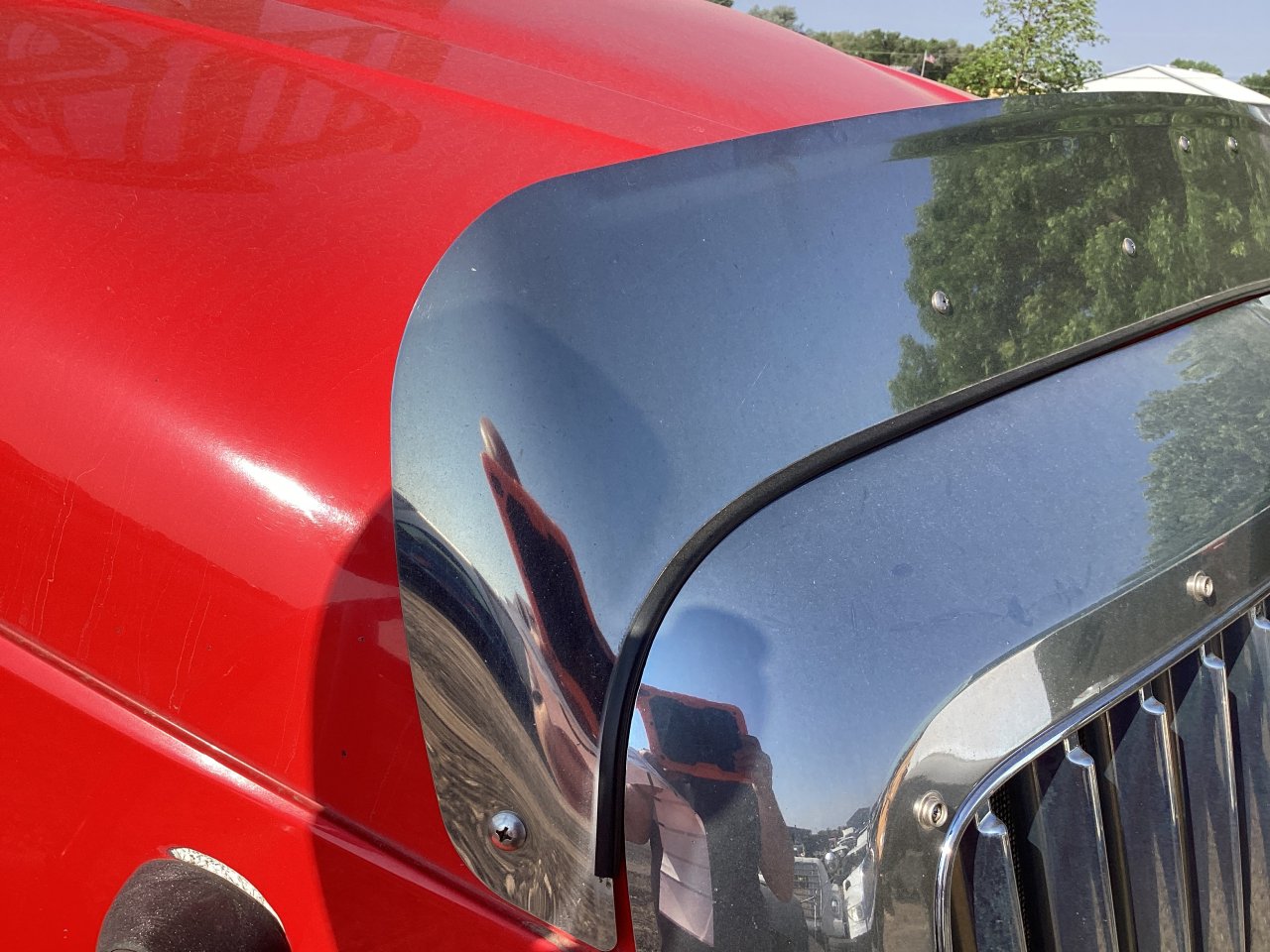 International PROSTAR Hood, Bug Deflector for Sale