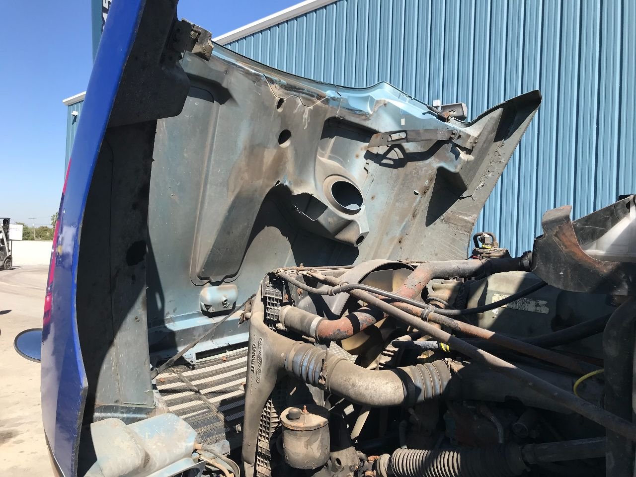 A17-12701-002 | Freightliner C120 CENTURY Hood for Sale