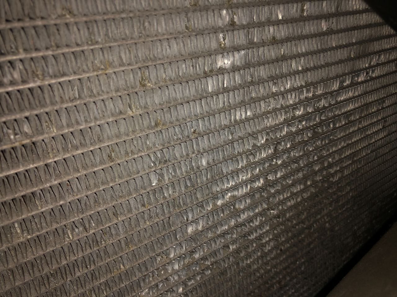 BHTB7472 | Freightliner C112 CENTURY Radiator for Sale