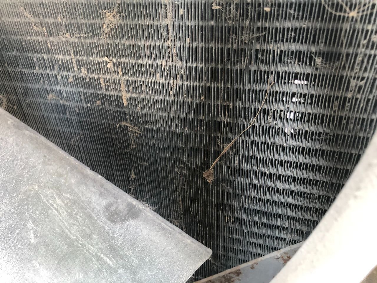 56330014 | Freightliner FLD120 CLASSIC Radiator for Sale