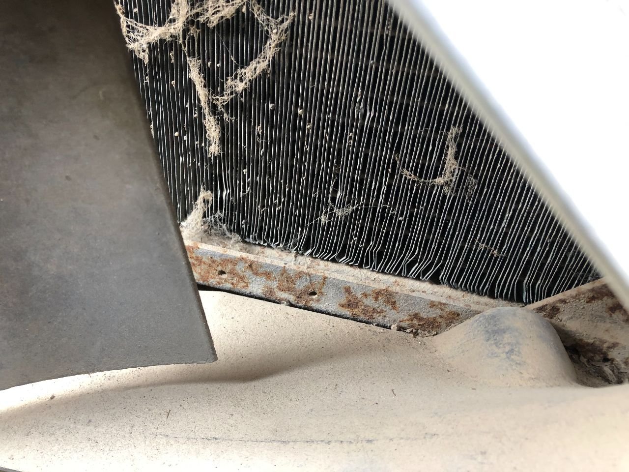 56330014 | Freightliner FLD120 CLASSIC Radiator for Sale