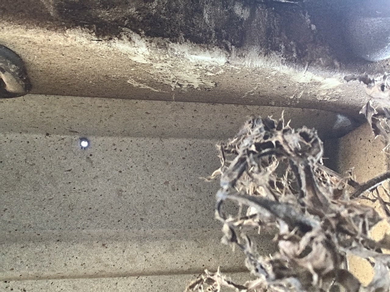 Freightliner FL60 Rocker Panel for Sale