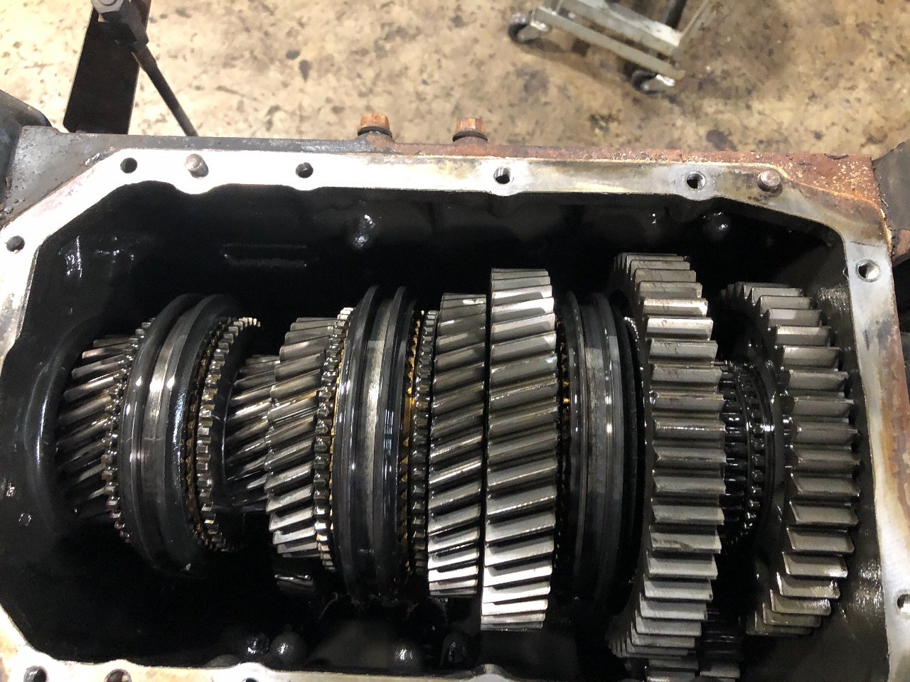 Isuzu M54 Transmission for Sale