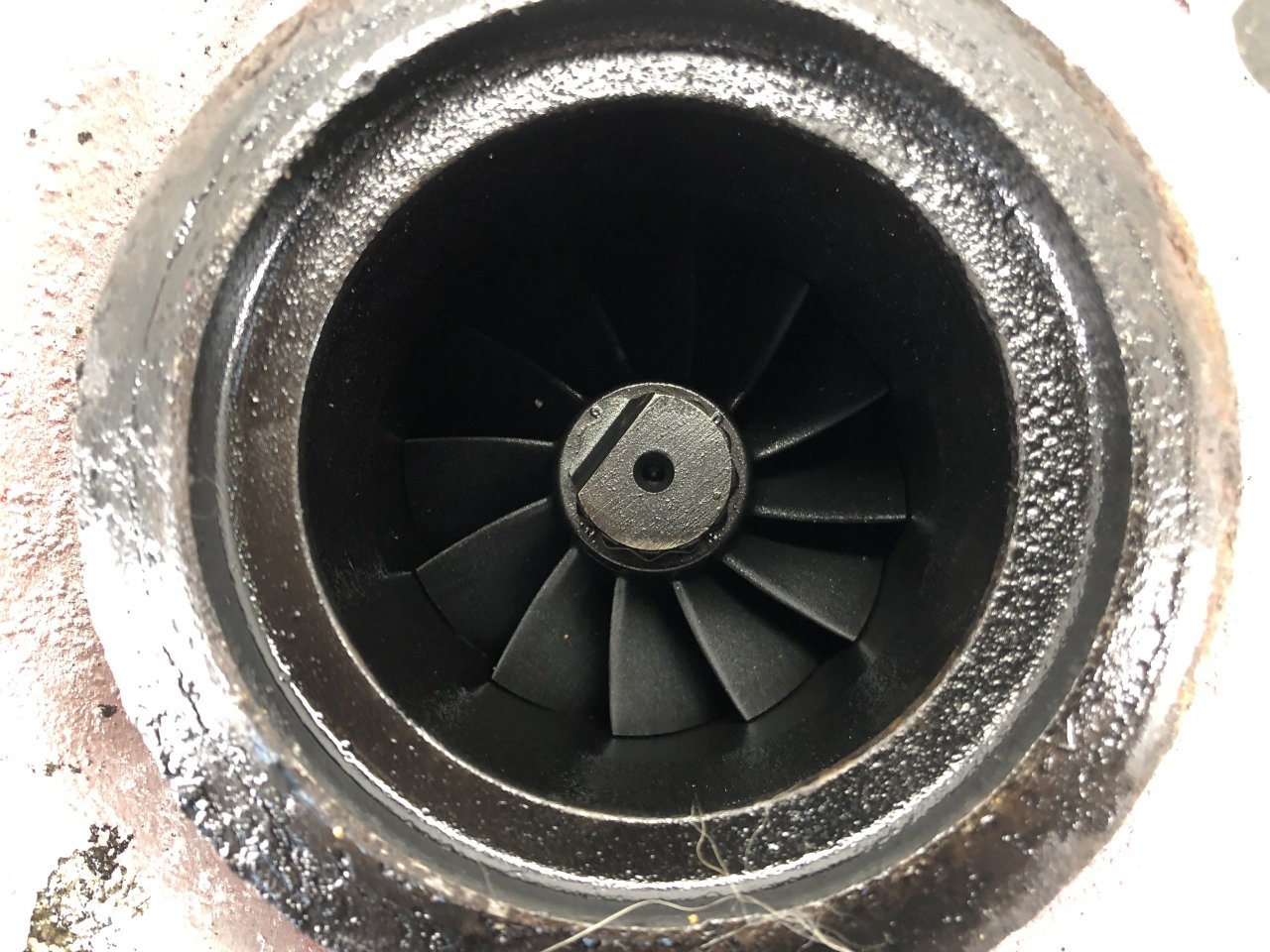 4955306 | Cummins ISX Engine Turbocharger for Sale