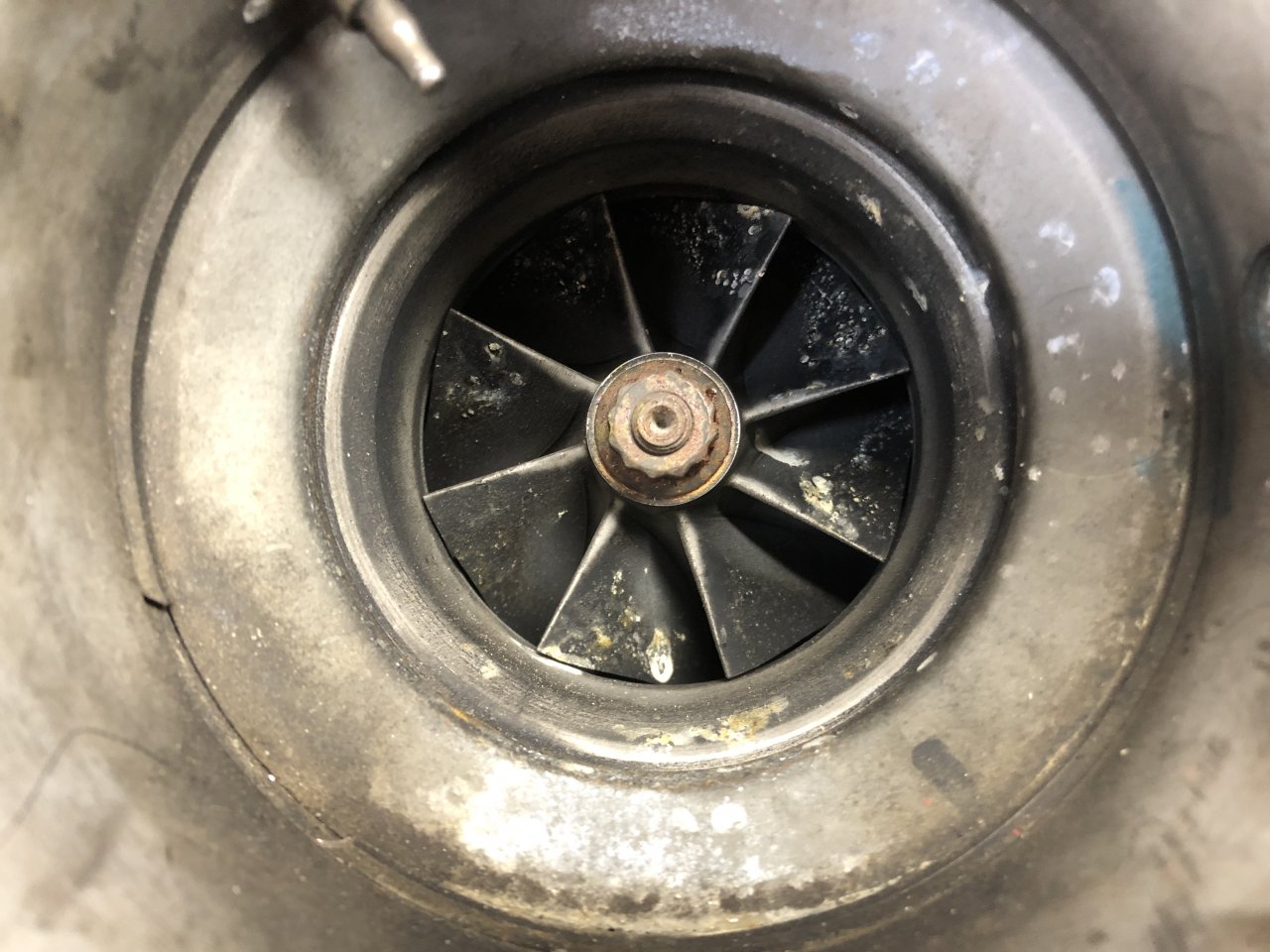 4955306 | Cummins ISX Engine Turbocharger for Sale