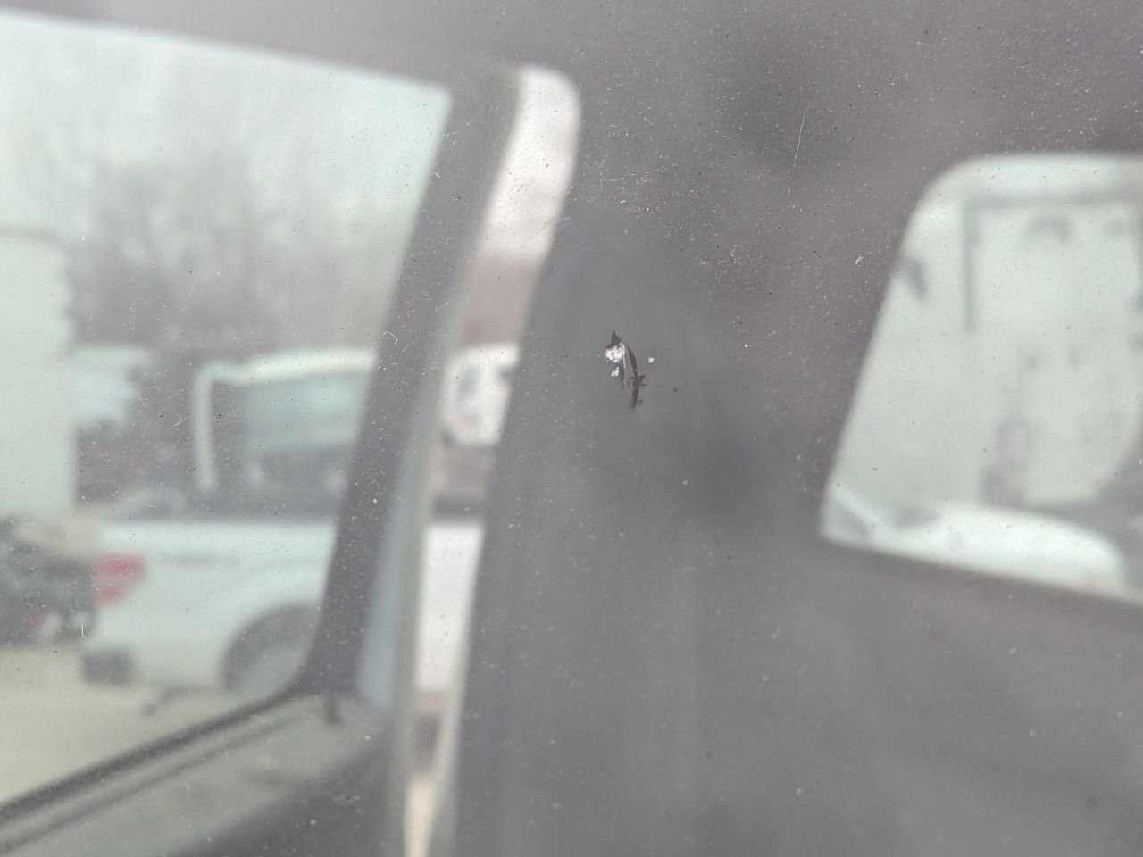 DW 01254 | Sterling L9522 Windshield for Sale