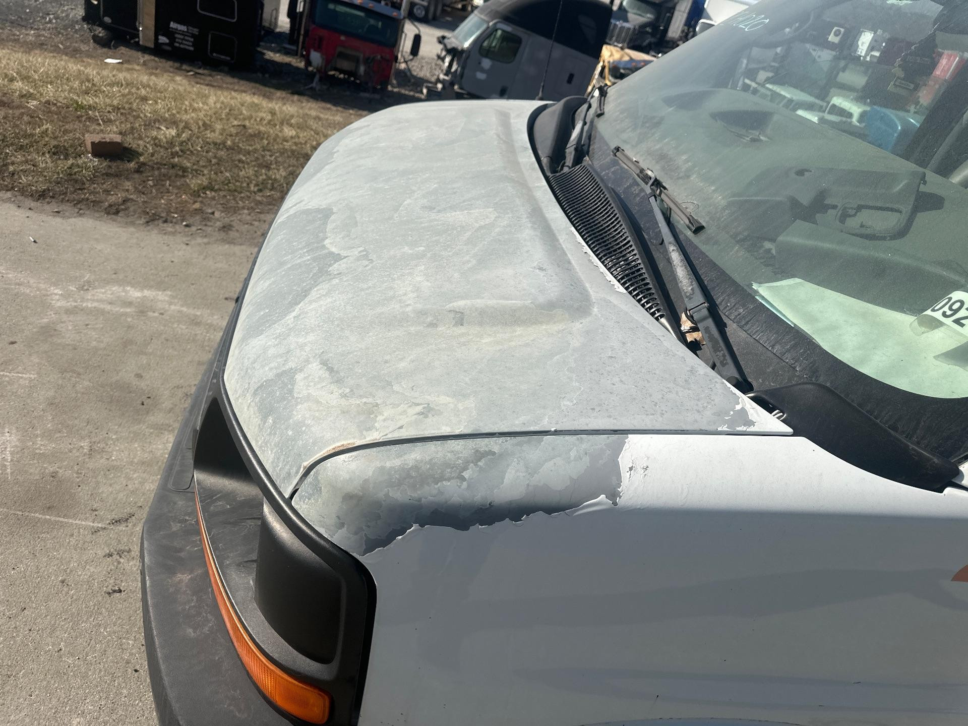 Chevrolet EXPRESS Hood for Sale