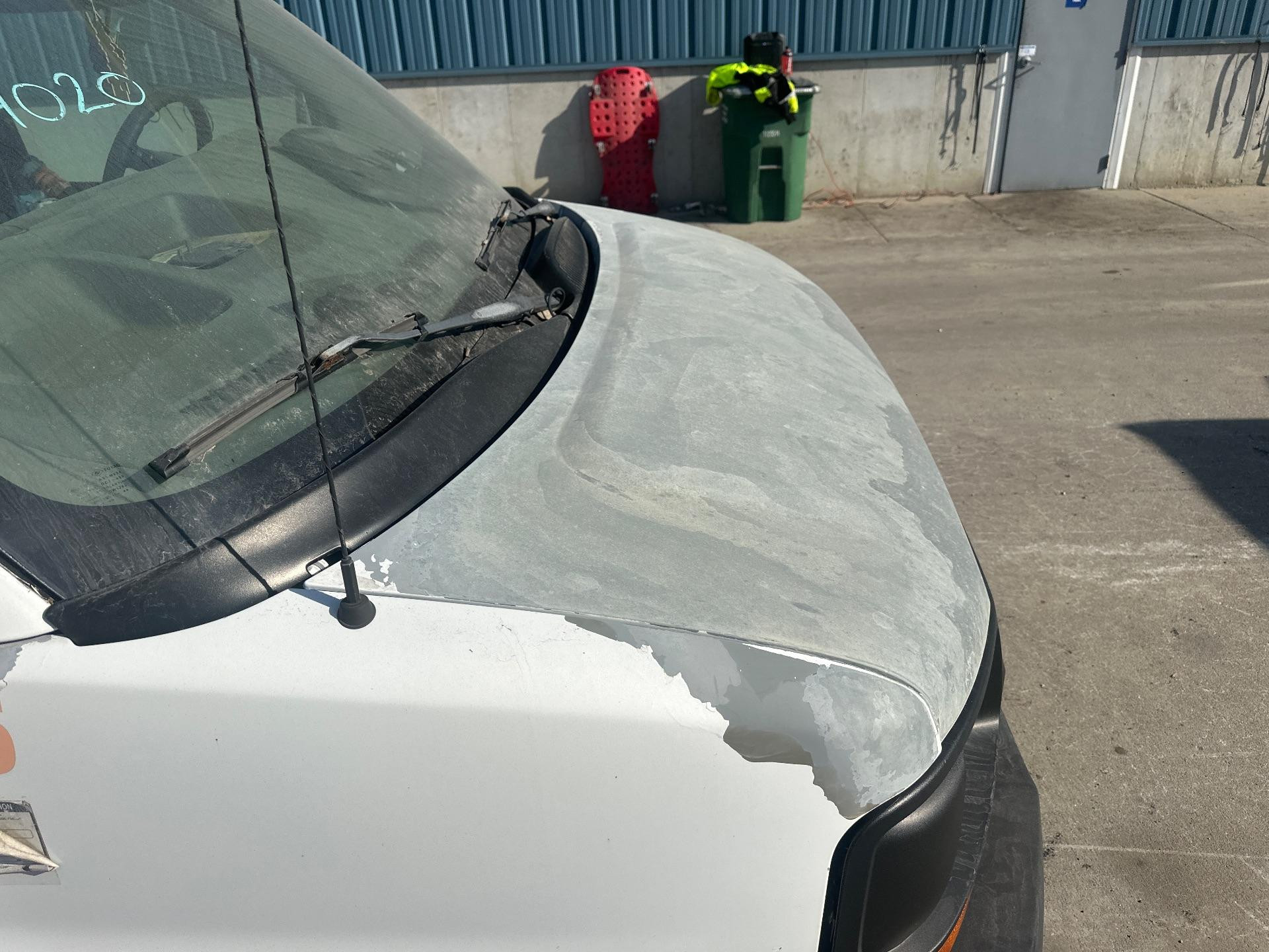 Chevrolet EXPRESS Hood for Sale