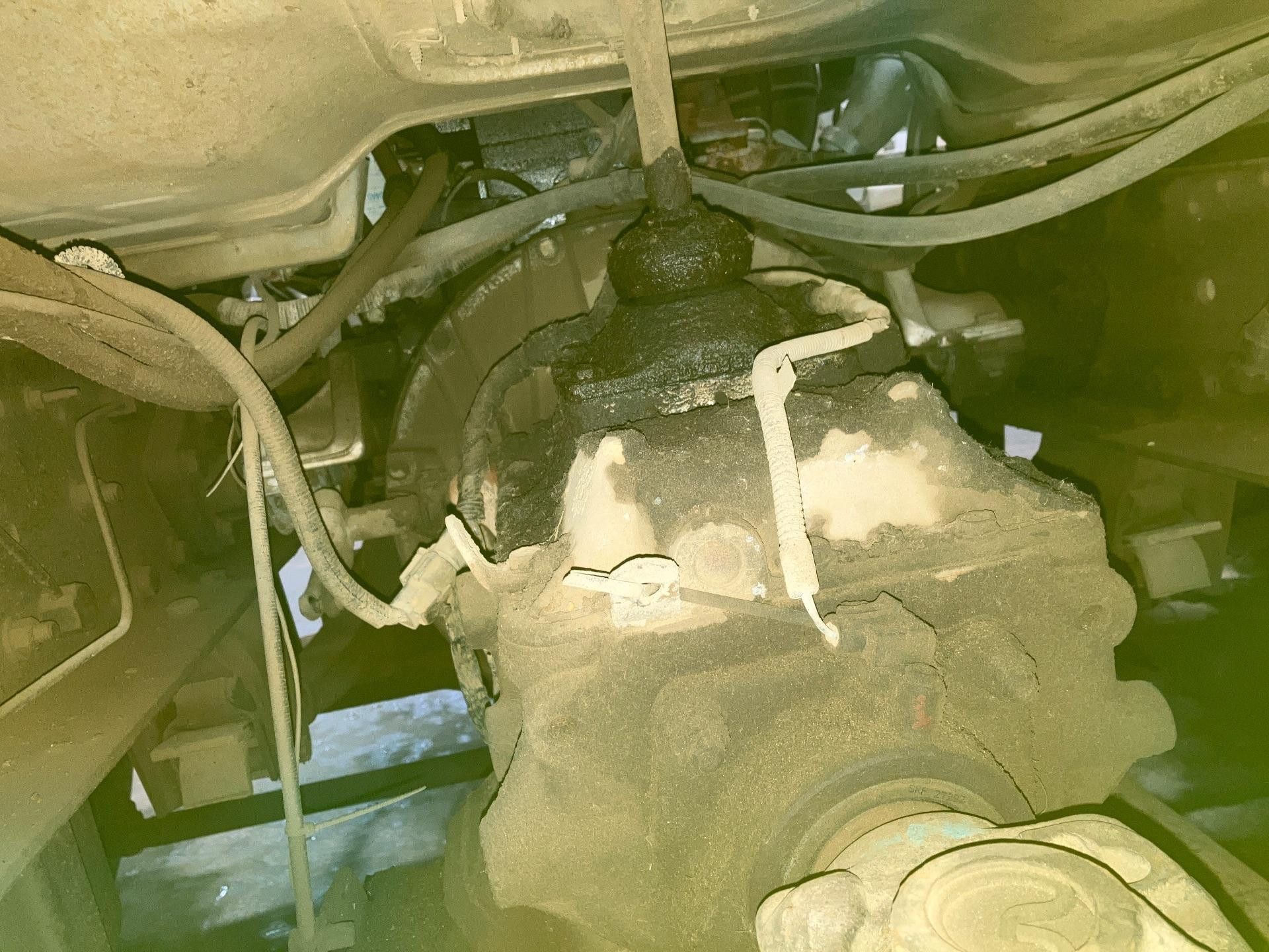 3908574 | Cummins B5.9 Engine Flywheel for Sale