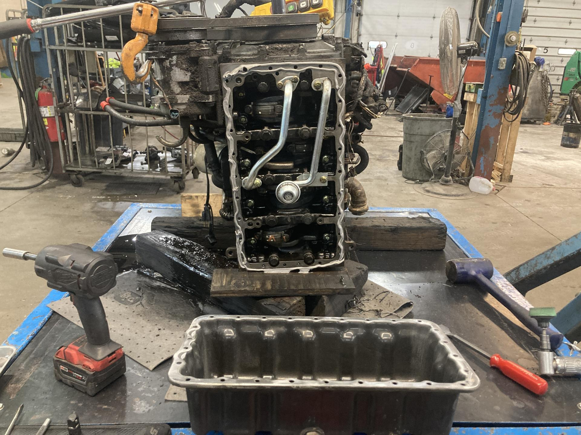Doosan D24 Engine Assembly for Sale
