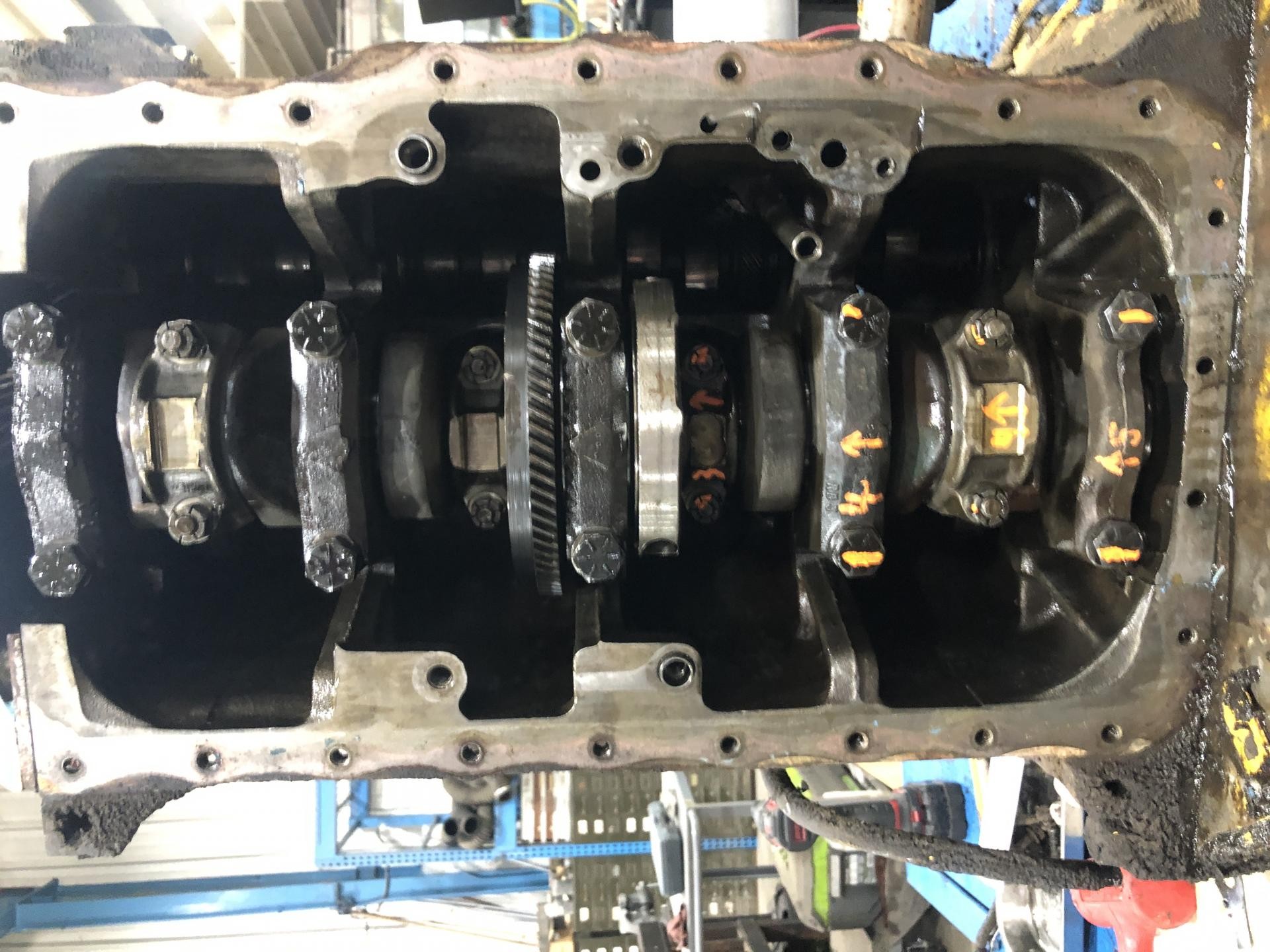 Ford 256 Engine Assembly for Sale