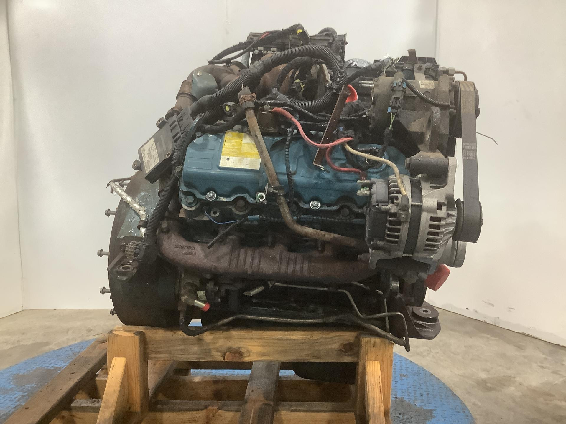 International VT365 Engine Assembly for Sale