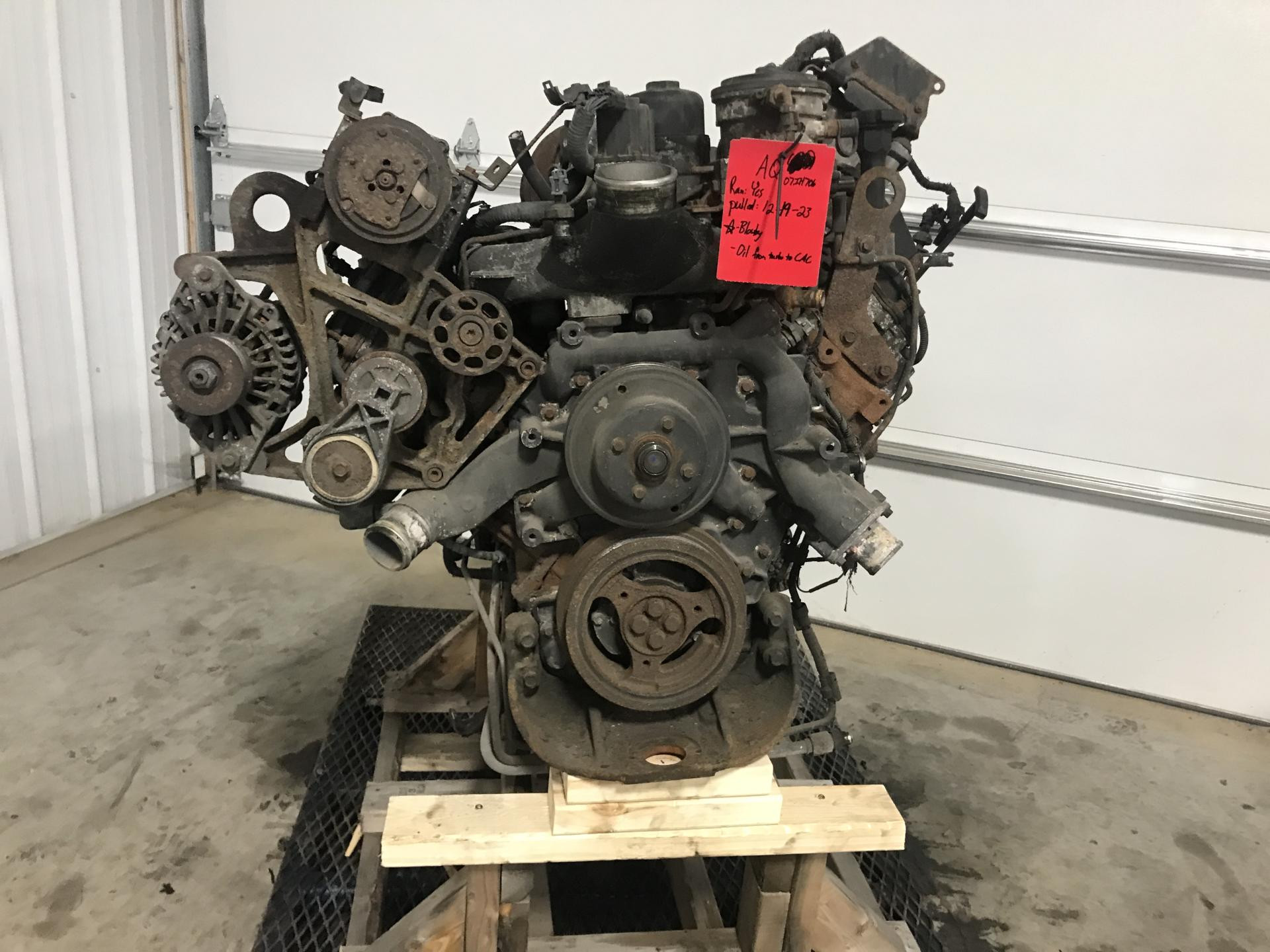 International VT365 Engine Assembly for Sale