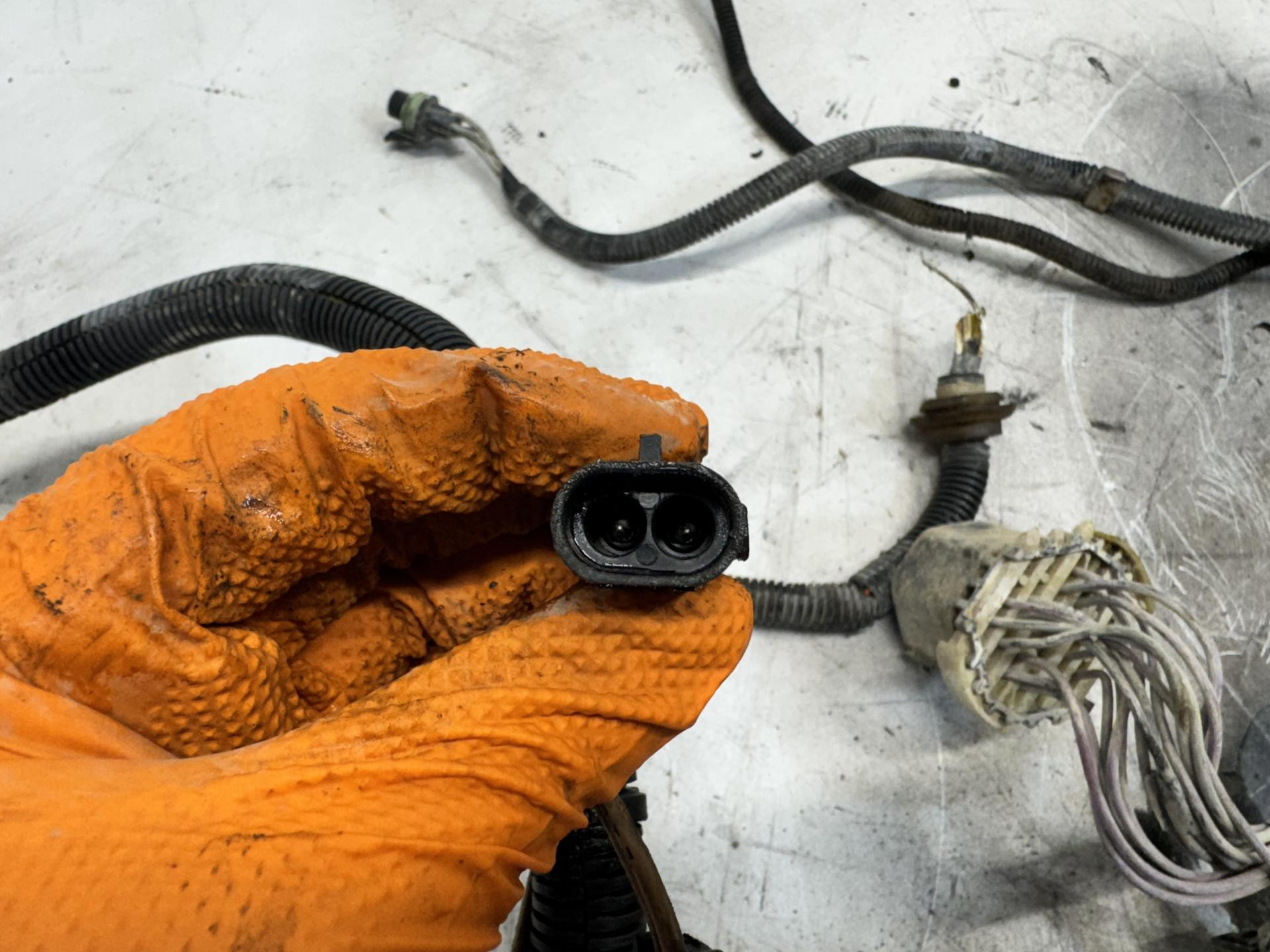 CAT C12 Engine Wiring Harness for Sale