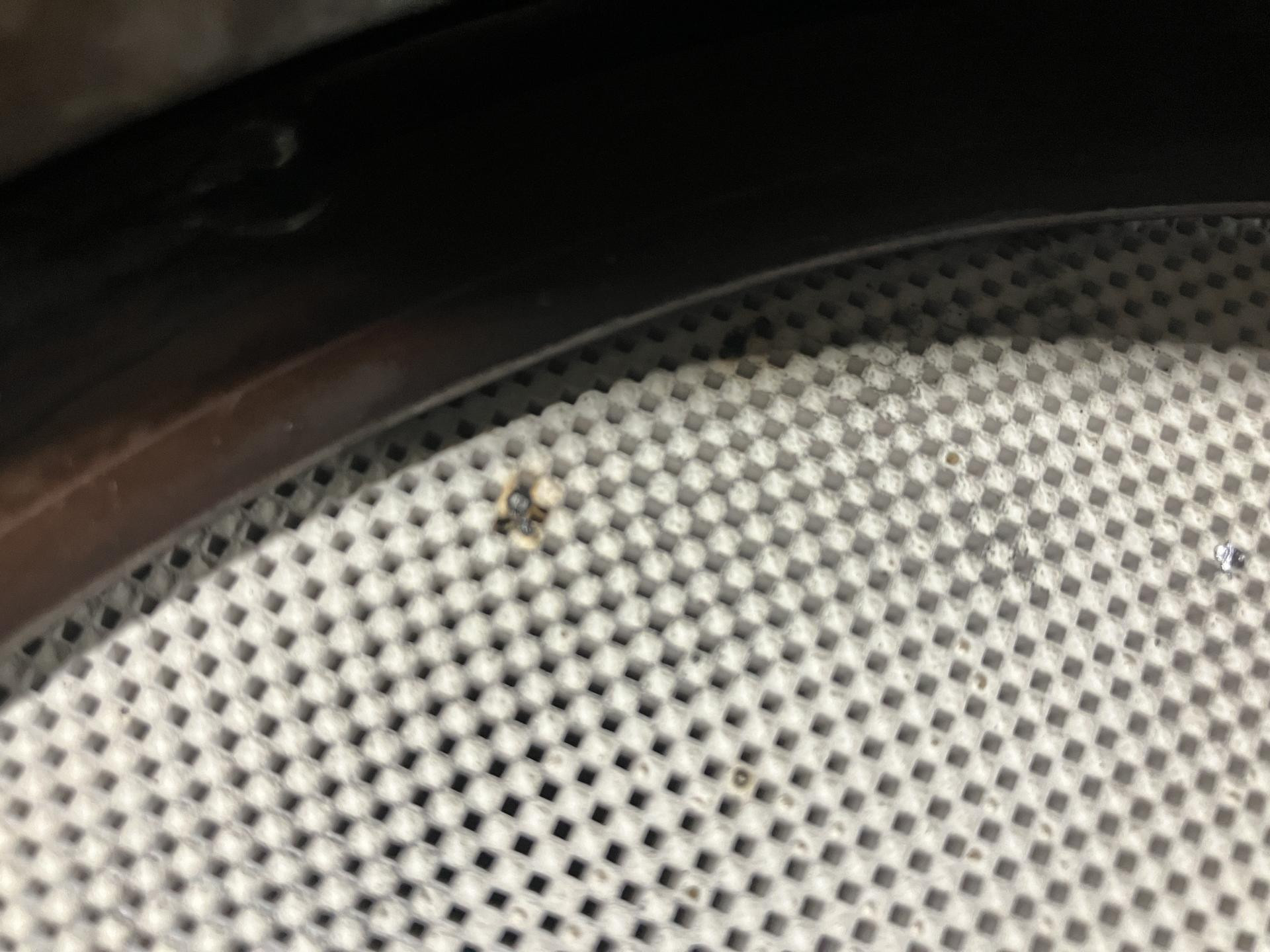 1600218806400 | Detroit DD13 Exhaust DPF Filter for Sale