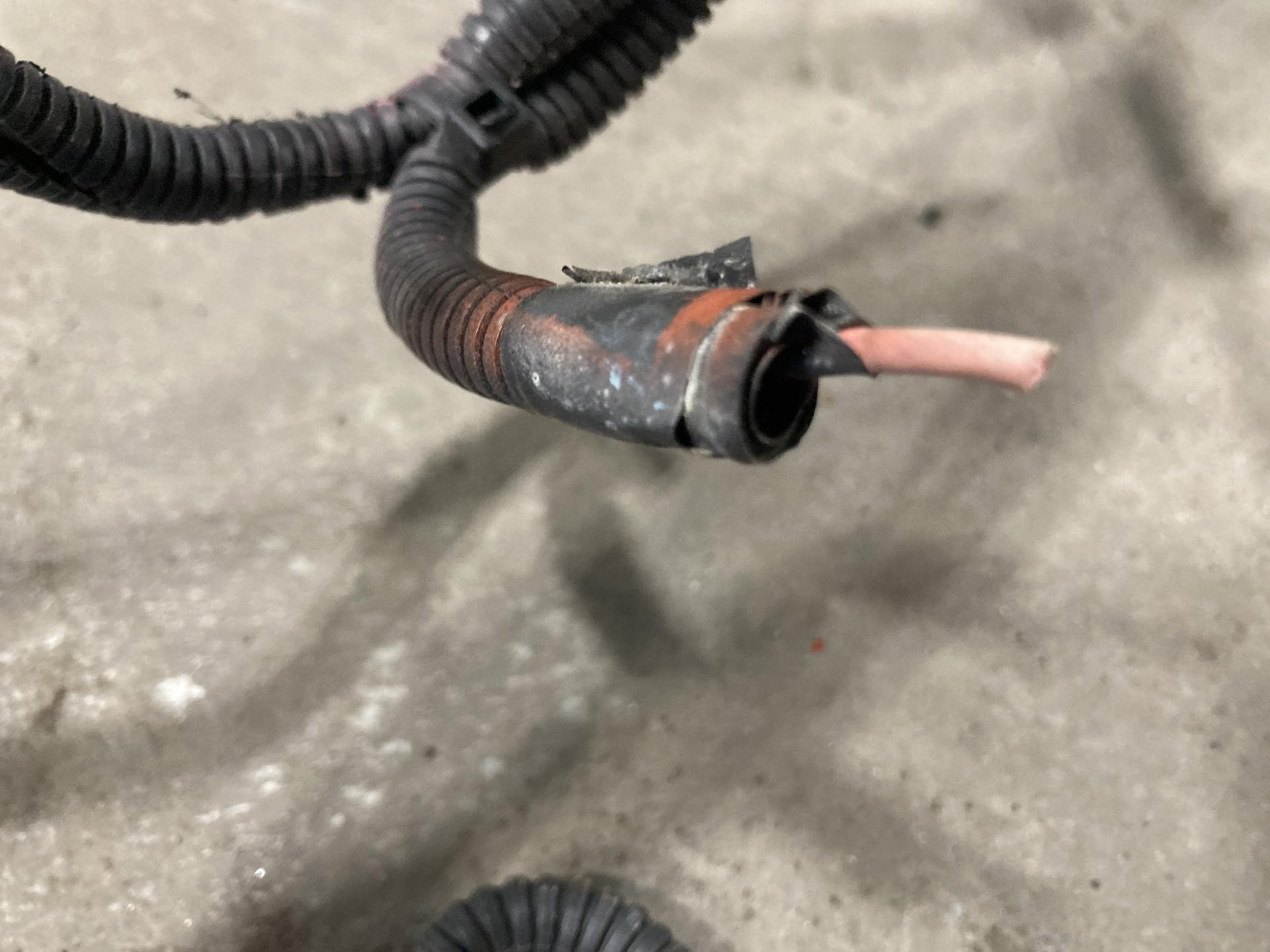 VERIFY | Freightliner M2 106 Fuse Box for Sale