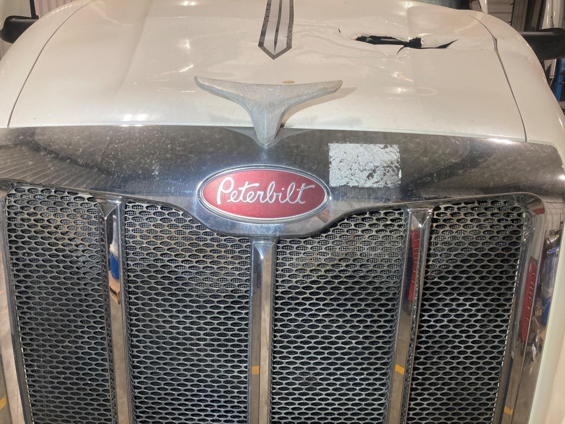 L29-6255 | Peterbilt 579 Grille for Sale