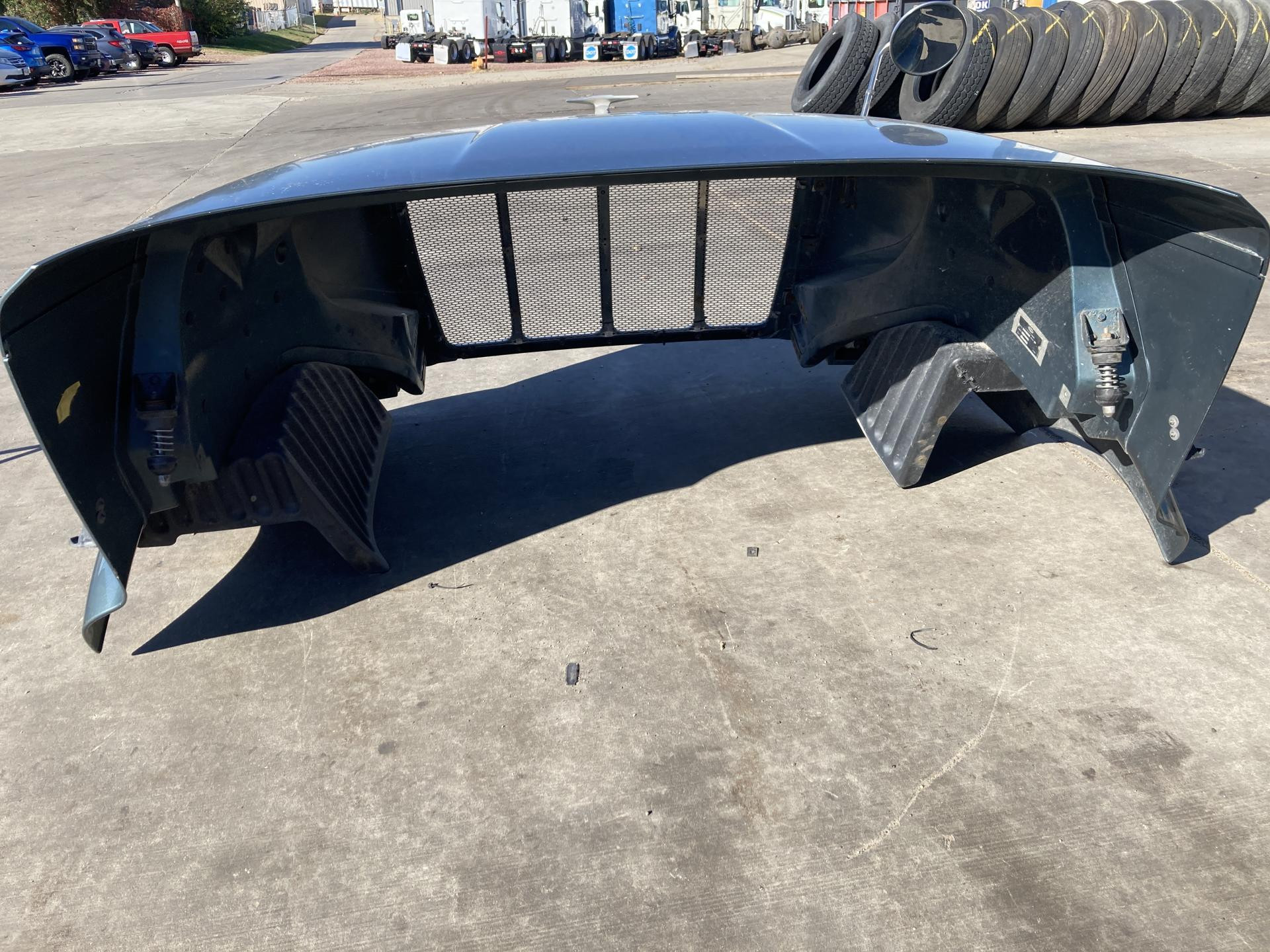 13-06169 | Peterbilt 387 Hood for Sale