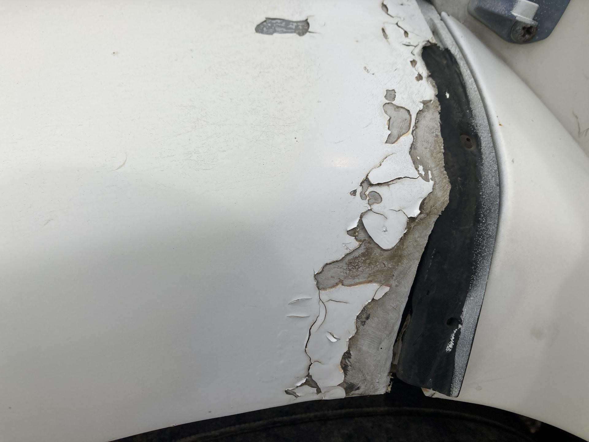 International S1900 Hood for Sale