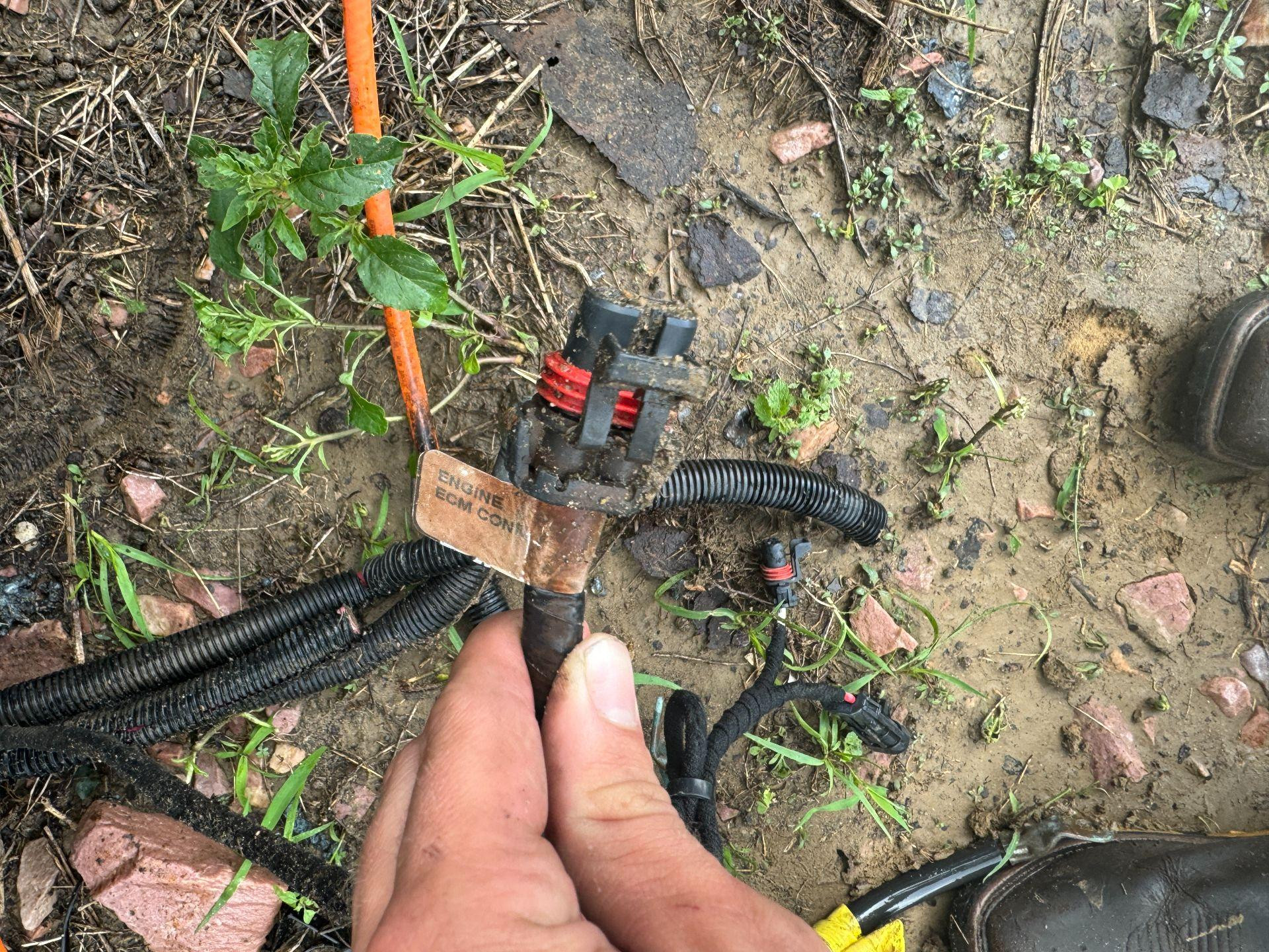 International 7600 Pigtail, Wiring Harness for Sale