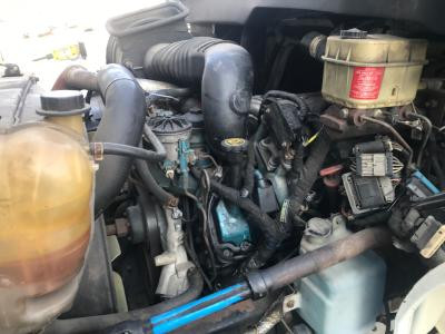 59G6D175IP | International VT365 Engine Assembly for Sale