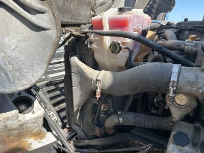 TXE1003850D | Freightliner CASCADIA Radiator for Sale