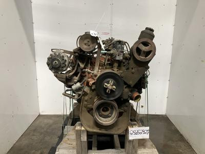 International 404 Engine Assembly for Sale