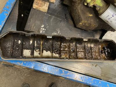 International D360 Engine Assembly for Sale