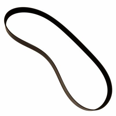 SS S-25013 Engine Belt for Sale