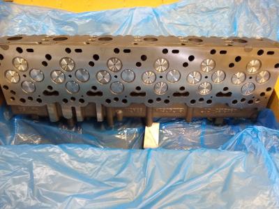 5319545 | Cummins ISL Engine Cylinder Head for Sale