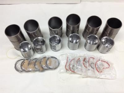 1890946C94 | International DT466E Engine Overhaul Kit for Sale