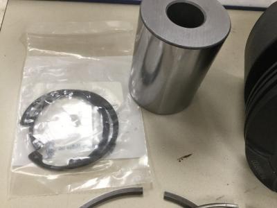 2882023 | Cummins ISX15 Engine Piston for Sale